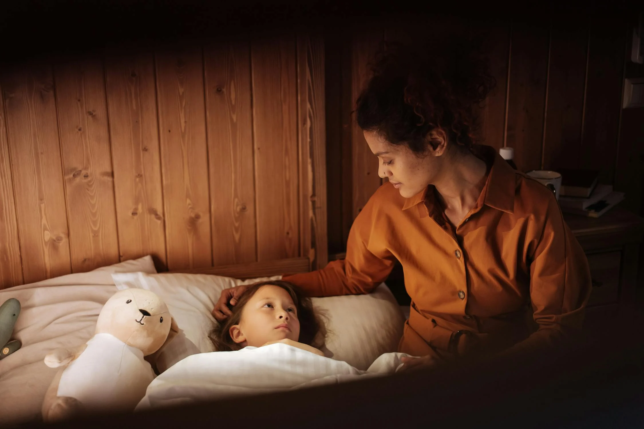 Understanding Prohibited Steps Orders in Family Law